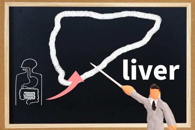 Boost Liver Health with Authentic Japanese Matcha – KyotoKismets Inc.